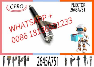 Cina Iniezione diesel Common Rail 2645A751 320-0690 320-0680 2645A709 295-9130 382-0480 282-0490 292-3780 in vendita