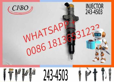 Cina Iniezione di carburante per motori diesel 243-4503 10R-4763 10R-7221 20R-1260 10R-4761 387-9431 268-9577 293-4071 in vendita