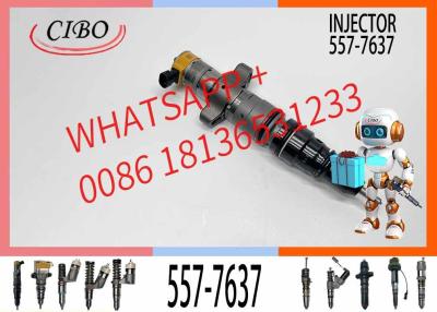 Cina Iniezione di carburante 557-7637 293-4073 267-9717 267-9722 293-4067 293-4074 10R-9003 10R-7223 in vendita