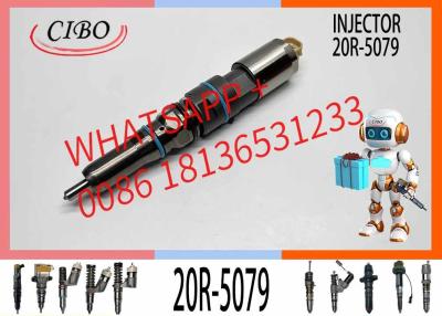 Cina Assemblaggio di iniettore di carburante 20R-5079 417-3013 304-3637 382-0709 392-9046 456-3509 456-3589 in vendita