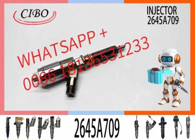 Cina 282-0490 Iniettore carburante 23670-0L090 Iniettore Common Rail 292-3780 2645A709 382-0480 in vendita