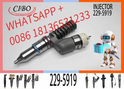 China 229-5919 Common Rail C-15 Motor Diesel Injetor de Combustível 10R-1000 BEBE4B01001 167-7154 396-4820 215-0981 à venda