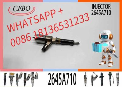 China Inyector de combustible del coche de la bomba del motor diesel 2645A710 2645A732 2645A744 para el motor C6.6 en venta