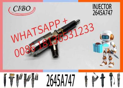 중국 애벌레 퍼킨스 C6.6 엔진 고양이 320D를 위한 공장 직접적인 공급 공통 레일 320D 분사기 2645A747 10R-7939 3200680 판매용
