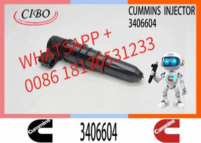 China 3064881 3406604 for Cummins M11 Diesel Engine Fuel Injector 3064881 3406604 for sale