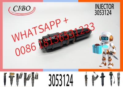 China Common Rail Fuel Injector Excavator Parts 3053124 3016676 3053126 Compatible with for CUMMIN NTA855-G3 KTA19 QSK19 Diesel Engine for sale