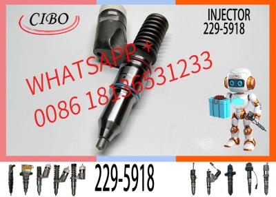 Cina Parti di escavatore C12 Iniezione motore 229-5918 CH12082 10R-1305 212-3463 137-2500 Iniezione di carburante per escavatore in vendita