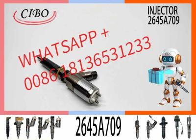 China Las piezas de la excavadora C6 Motor inyector 320-0690 320-0680 2645A709 295-9130 382-0480 inyector de combustible para la excavadora en venta