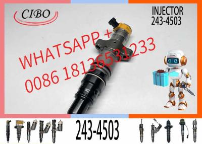 중국 고품질 일반 철도 디젤 연료 주입기 243-4503 판매용