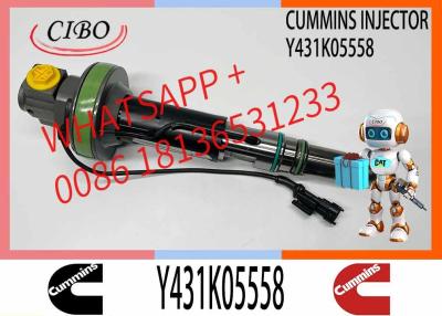 China Common Rail Diesel Fuel Y431K05558 for QSK19 Diesel Engine Diesel Common Rail Fuel Injector Good Quality High Performance Auto Engine Parts for sale