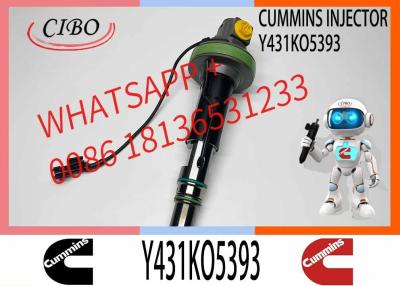 Chine Y431K05858 Y431K06139 Y431KO5205 Y431KO5393 pour injecteur de carburant à rampe commune diesel de moteur diesel QSK19 Pièces de moteur automatique de haute performance et de bonne qualité à vendre