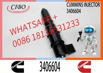 China Diesel common rail injector 3406604 3411821 3071497 3087648 4914328 3018835 3079946 Voor C-ummins M11 motor Te koop