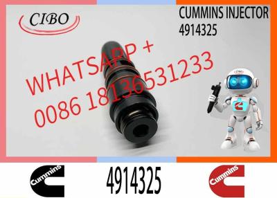 China High Quality Fuel Injector Assembly 4914325 voor Cummins motor PTN 855 serie Te koop
