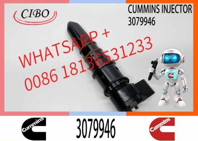 China Injetor Diesel Common Rail 3406604 3411821 3071497 3087648 4914328 3018835 3079946 Para motores C-ummins M11 à venda