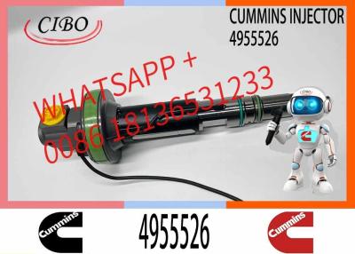 China QSK19 QSK38 QSK50 QSK60 Injetor de combustível para motor 4955526 Y431K05199 4928104 F00BLOJ014 F00BLOJ013 Para Cummins à venda