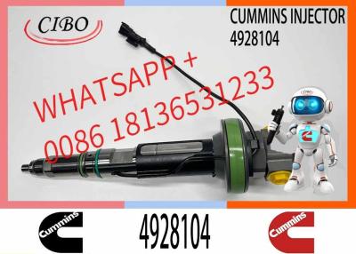 Cina Iniezione di carburante per motore diesel QSK19 4955526 Y431KO5199 4928104 per motore diesel CUMMINS in vendita