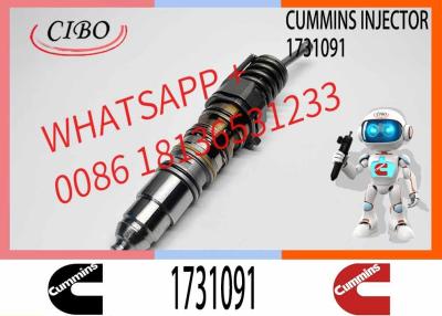 Cina Iniezione di carburante 579251 4954648 1764365 1731091 1846350 570016 1846351 579261 1764364 per Scania in vendita