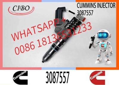 Cina Iniezione di carburante 3411756 3083849 3087557 4307516 per escavatore M11 in vendita