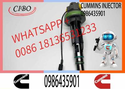 Cina Assetto iniettore di carburante 0986435904 0986435901 F00BJ00006 FOOBJ00007 0986435903 Per motore Qsk19 in vendita