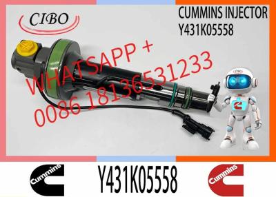 China Injetor de combustível para escavadeira QSK Parte de máquinas de construção diesel partes de motor Injetor Y431K05558 Para motor Cummins à venda