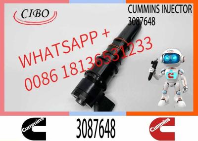 中国 ディーゼル用コモンレール注射器 3406604 3411821 3071497 3087648 4914328 3018835 3079946 C-ウミンのM11エンジン 販売のため