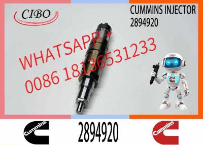 Cina Iniezione di carburante diesel comune 2897320 2894920 2872405 2086663 per parti del motore in vendita
