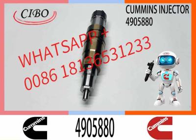 중국 커먼 레일 인젝터 연료 인젝터 2030519 4905880 Cummins SCANIA R 시리즈용 판매용