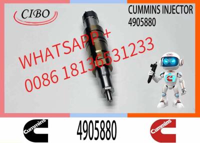 중국 커먼 레일 인젝터 연료 인젝터 2030519 4905880 Cummins SCANIA R 시리즈용 판매용