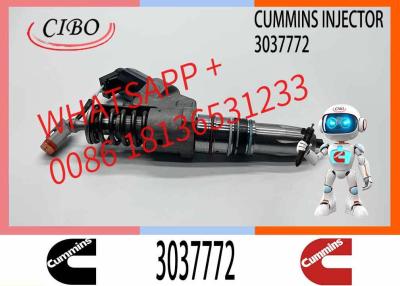 China Good Quality M11 Diesel Engine Part Injector 4903084 4903319 3037772 for Cummins for sale