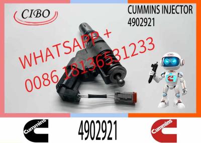 Cina Iniettore 3074219 4955149 4903472 4903319 4061851 4902921 4903084 per QSM11 ISM11 M11 Diesel Engine Parts Gruppo Ugello in vendita