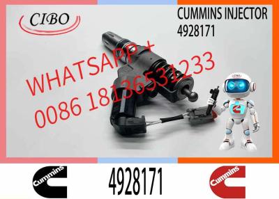 China Diesel Fuel Injector 4928517 4928171 4928171PX 4928171RX Diesel Fuel Injector for Cummins ISM M11 ISM11 QSM11 Engine for sale