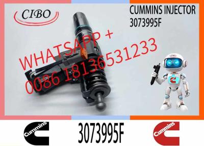 China Best Quality Cummins N14 Engine Common Rail Fuel Injector 4307795 3073995F for sale