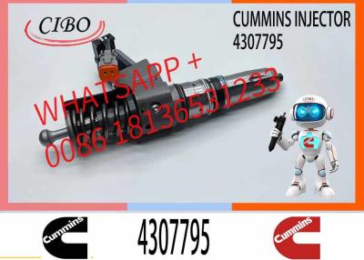 China Best Quality Cummins N14 Engine Common Rail Fuel Injector 4307795 3073995F for sale