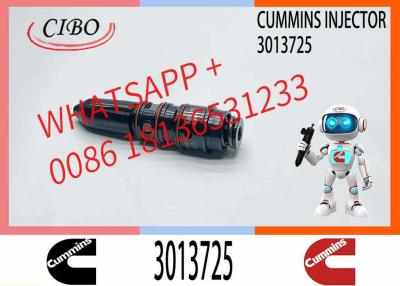 China NT855 NTA855 Diesel Marine Engine Fuel Injector 3013725 3054218 3054233 for sale