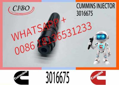 Cina Iniezione 3016676 per il motore CUMMINS K19 3016675 in vendita