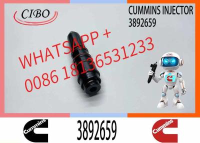 Cina Pompa carburante ad alta pressione 3076703 3095773 3349860 3609962 4914328 3892659 in vendita