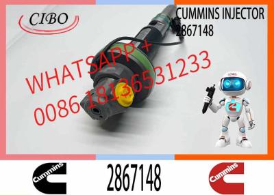 Chine Injecteur de carburant diesel 2867149 2867147 2867148 2882079 4964173 4955527 4918073 4964170 4955524 QSK19 QSK60 Pièces pour moteurs diesel à vendre