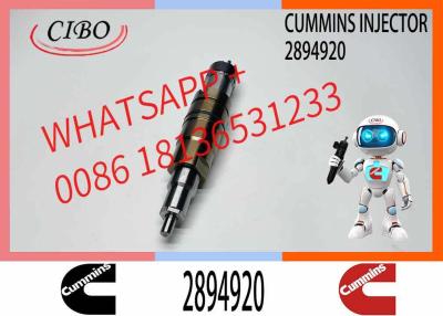 China DSGENUINE 5579415 5579417 2894920 2872405 ISX15 CRI D10 ISX XPI diesel Engine Fuel Injector 5579415 5579417 2894920 2872405 for sale