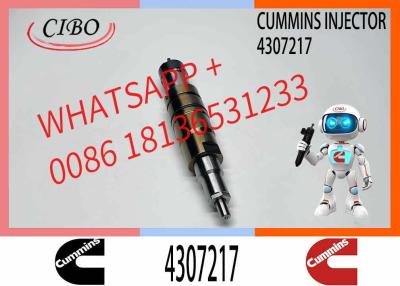China High Performance Diesel Fuel Injector Assembly 4307217 for Cummins XPI Series Engine for sale