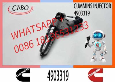 China Diesel Common Rail Injector 4903319 for Cummins M11 ISM11 4903319 for sale