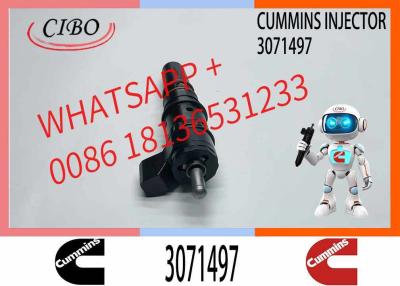 China Best Quality Diesel Fuel Injector Assembly 3071497 for Cummins Engine NT855-G4 for sale