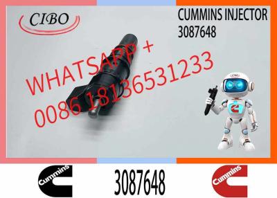 China 3406604 3064881 3411821 Injector 3084891 3087648 4914328 Suitable for M11 QSM11 ISM11 Engine for sale