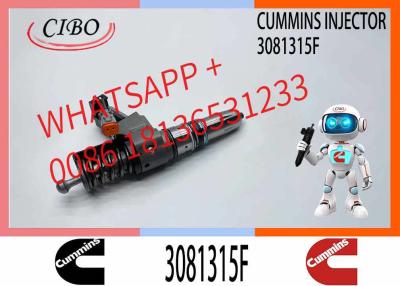 China High-quality Fuel Injector Assembly 3081315F for Cummins Engine N14 Series for sale