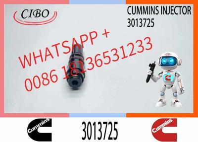 China High Performance Diesel Fuel Injector Assembly 3013725 for Cummins PTN855 Engine for sale