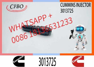 China High Performance Diesel Fuel Injector Assembly 3013725 for Cummins PTN855 Engine for sale