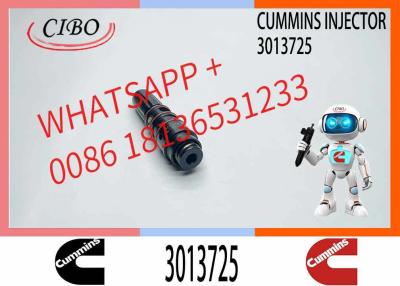 China High Performance Diesel Fuel Injector Assembly 3013725 for Cummins PTN855 Engine for sale