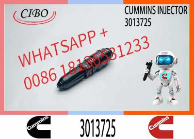 China High Performance Diesel Fuel Injector Assembly 3013725 for Cummins PTN855 Engine for sale
