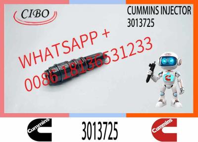 China High Performance Diesel Fuel Injector Assembly 3013725 for Cummins PTN855 Engine for sale