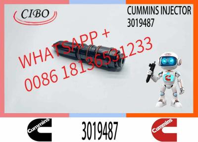 China New Fuel Injection Pump 4951501 3019487 3080571 For Cummins NT855 Diesel Engine for sale
