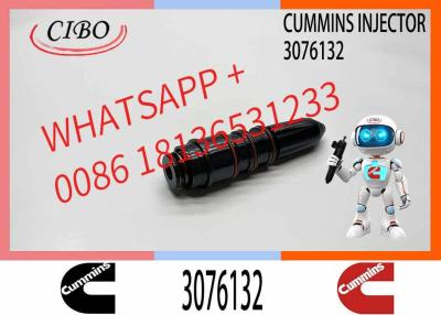 China Diesel Engine Parts Fuel Injector Assembly 3076132 for Cummins NT855-G4 Series Engine for sale